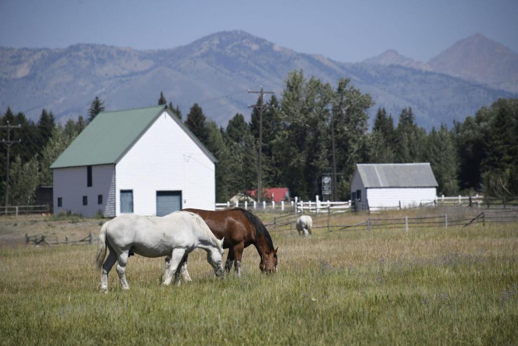 Celebrating 45 years of Reinheimer Ranch, the gateway to Ketchum ...